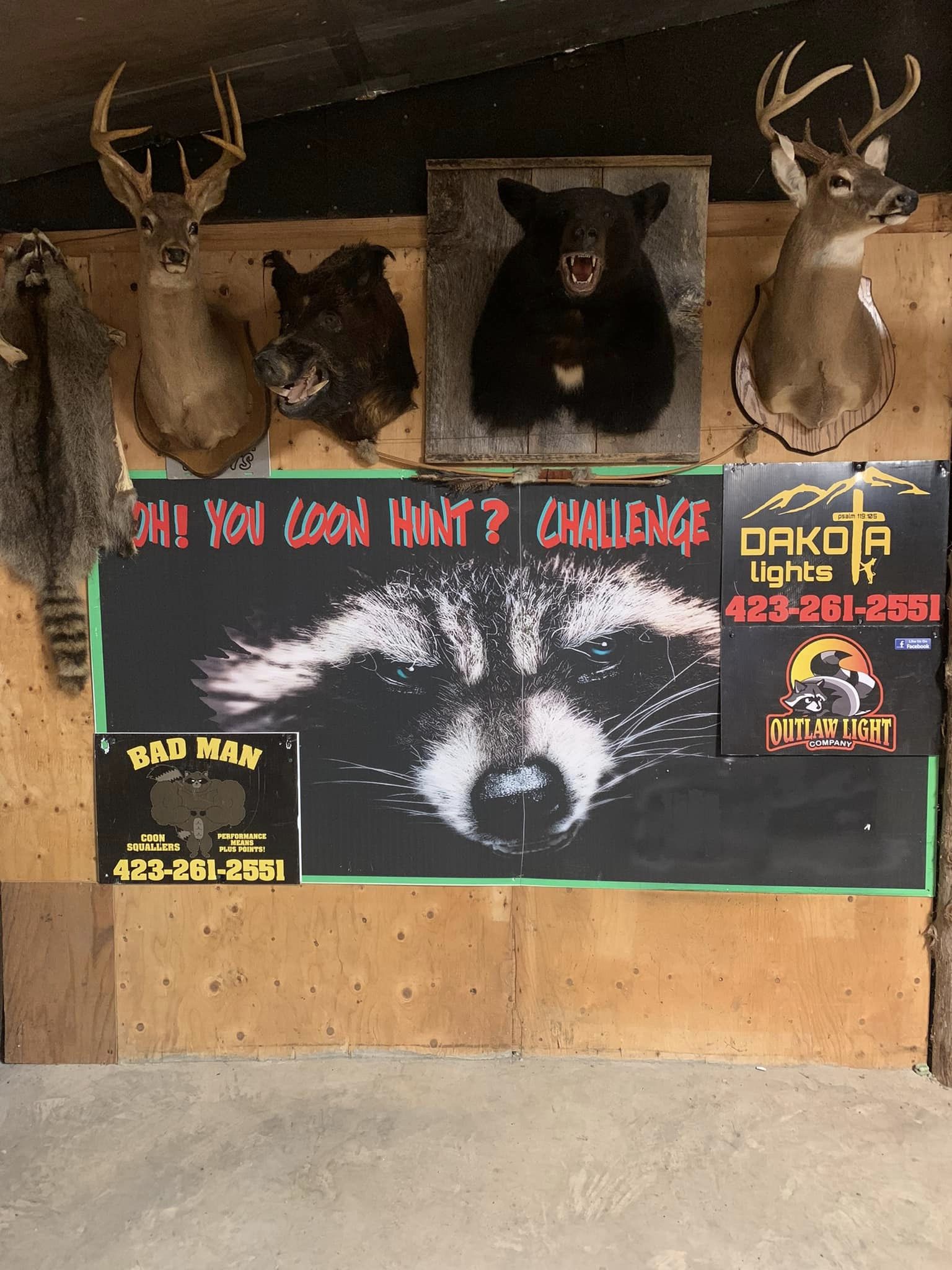 Outlaw Light Company